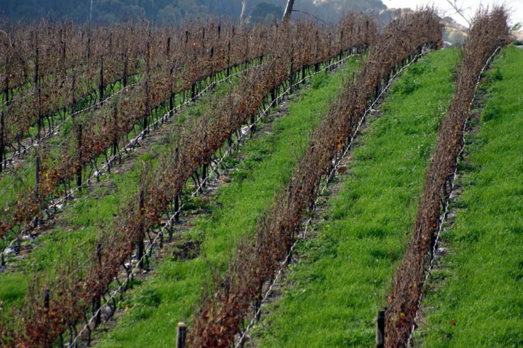 Mooiplaas Wine Estate & Private Nature Reserve – Gallery