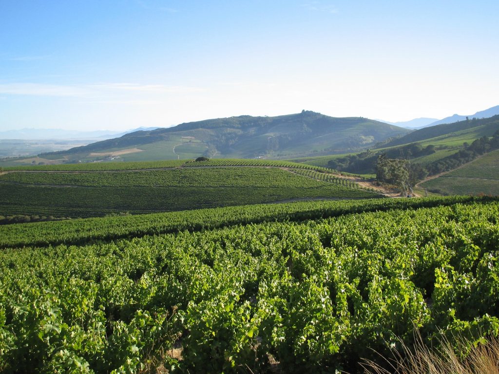 Mooiplaas Wine Estate & Private Nature Reserve – Gallery