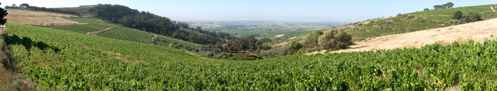 Mooiplaas Wine Estate & Private Nature Reserve – Gallery