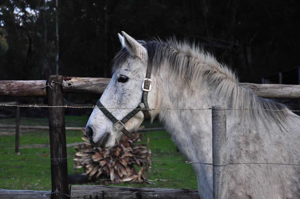 Mooiplaas Wine Estate & Private Nature Reserve – Gallery