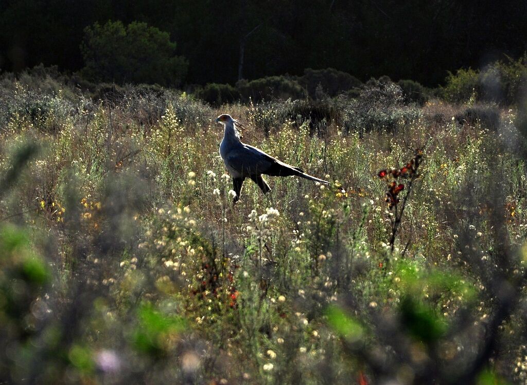 Mooiplaas Wine Estate & Private Nature Reserve – Gallery
