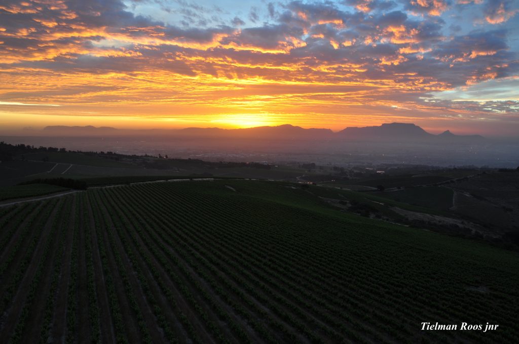 Mooiplaas Wine Estate & Private Nature Reserve – Gallery