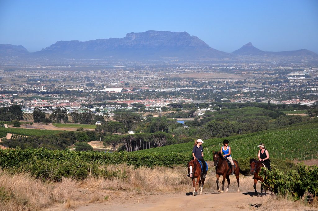 Mooiplaas Wine Estate & Private Nature Reserve – Gallery