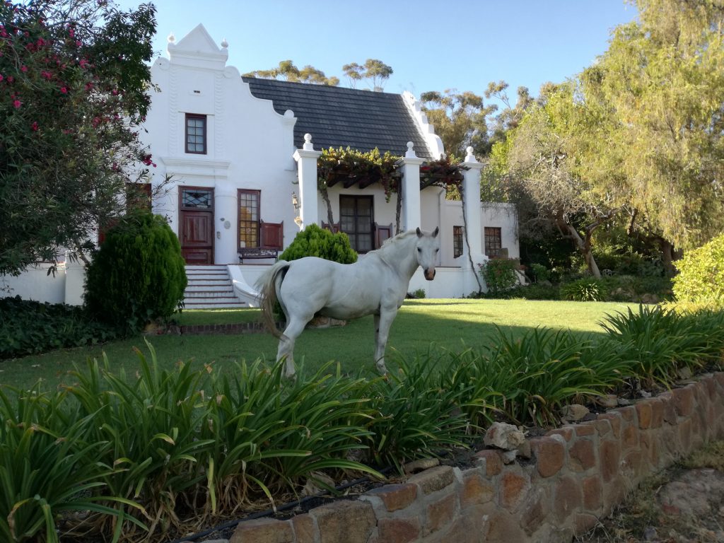 Mooiplaas Wine Estate & Private Nature Reserve Gallery - Mooiplaas Wine ...